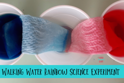 Walking Water Experiment: Rainbow Science for Kids