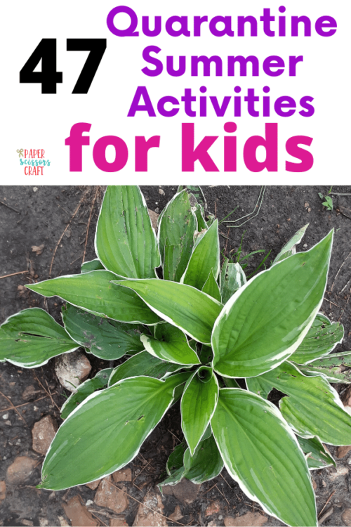 47 Quarantine Summer Activities for Kids (You can do During Pandemic)