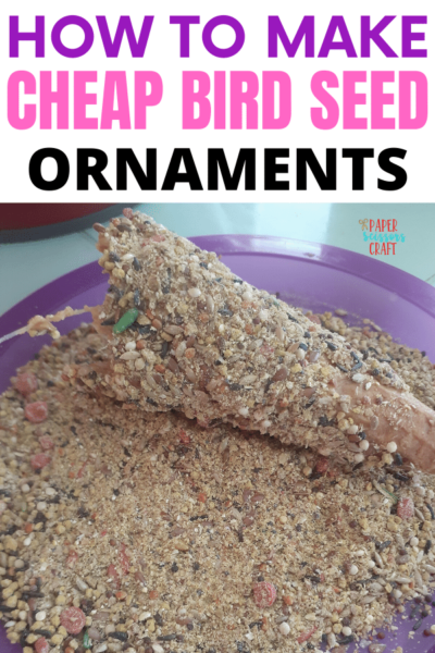 How to Make Easy and Cheap Bird Seed Ornaments for Kids