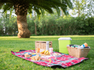 19 Park Activity Ideas for Kids When they are Bored with the Park