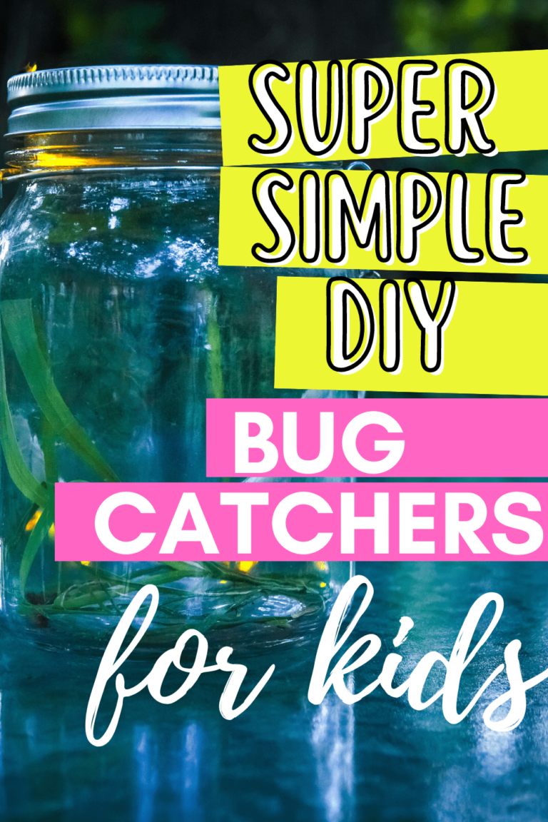 How to Make a Super Simple DIY Bug Catcher for Kids