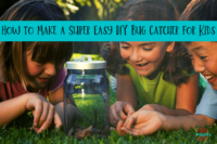 How to Make a Super Simple DIY Bug Catcher for Kids