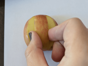 Apple Stamping Craft Activity: Paint a Pumpkin Or a Tree