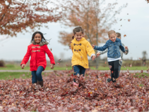 36 Fun & Simple Outdoor Fall (Autumn) Activities for Kids