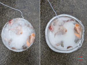 Easy DIY Frozen Ice Suncatcher Winter Craft for Kids
