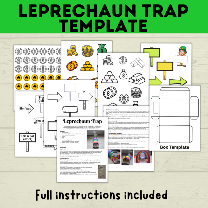 Easy DIY Leprechaun Trap for Kids That Works