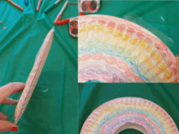 DIY Paper Plate Frisbee: A Simple Craft and Outdoor Game for Kids ...